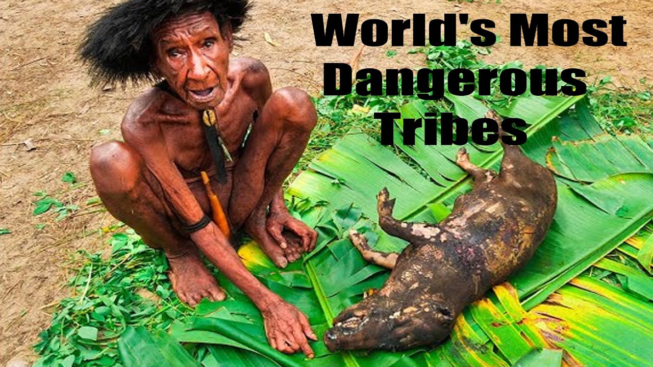 Most DANGEROUS TRIBES Of Amazon Rainforest | World's Most Dangerous Tribes - YouTube