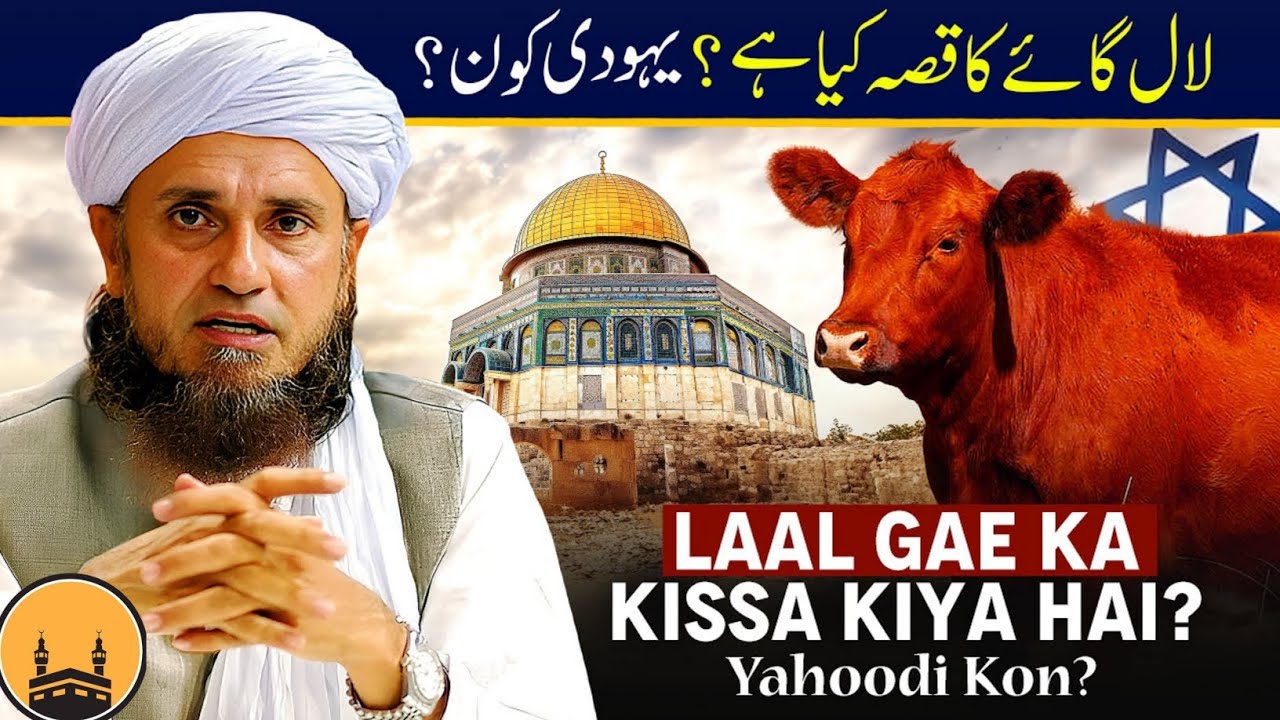 Laal Gae Ka Qissa KiYa Hai ?| Mufti TariQ Masood BaYan / Mohabbat e Islam - YouTube