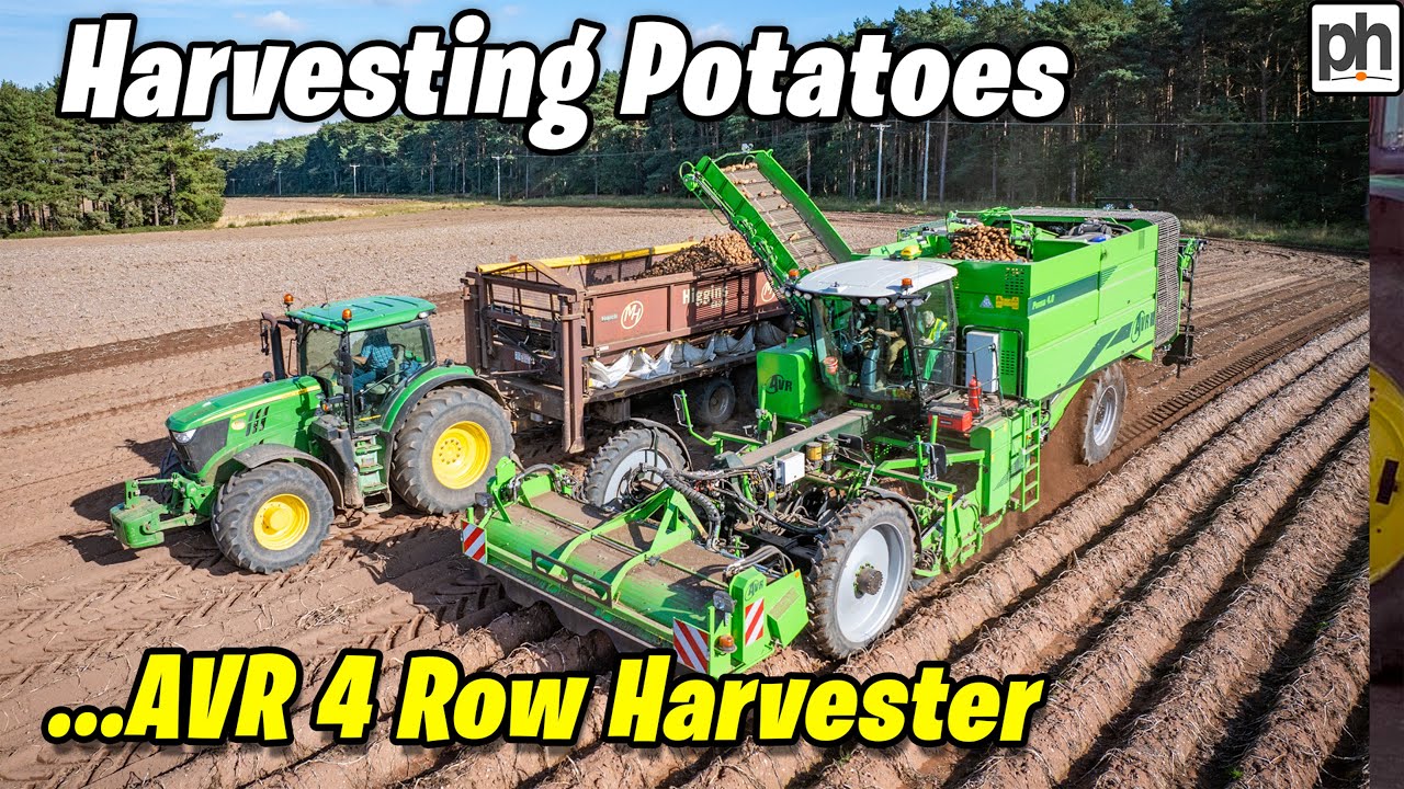 4 ROW AVR POTATO HARVESTER AT FISHER FARMS #potatoharvest - YouTube