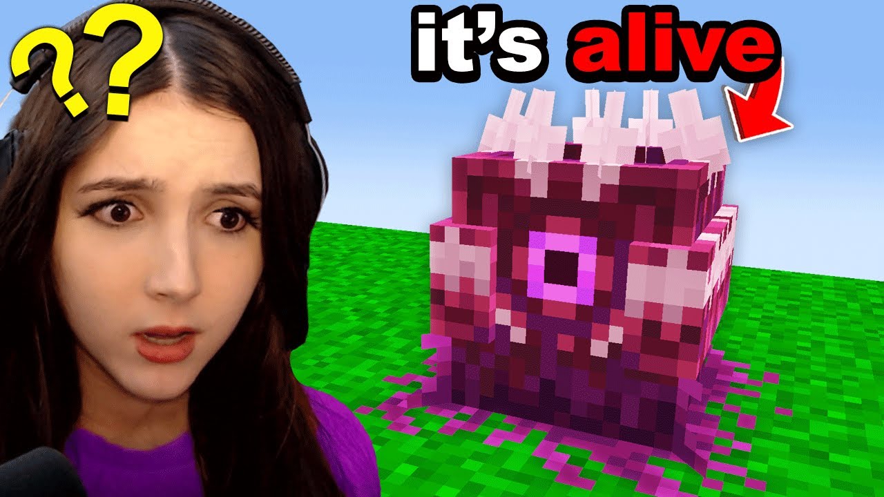 I Made BLOCKS ALIVE in her Minecraft World... - YouTube