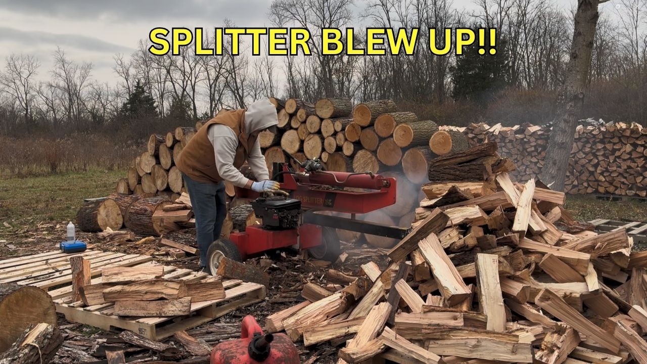 Cleaning Up a Bad Firewood Buy... Until My Splitter Blew Up - YouTube