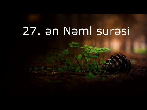ən Nəml surəsi Azərbaycan və Ərəb dilində