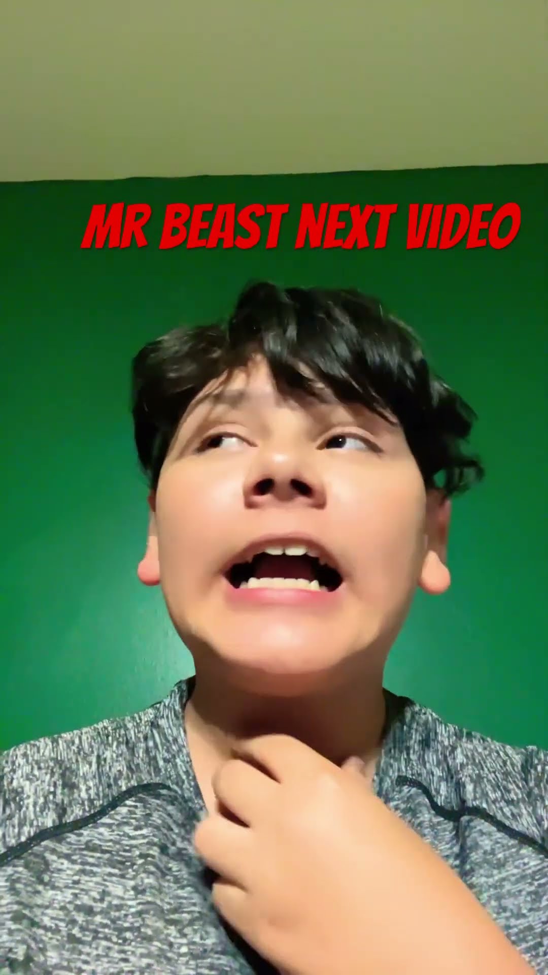 Mr Beast next Video #memes #Funny - YouTube