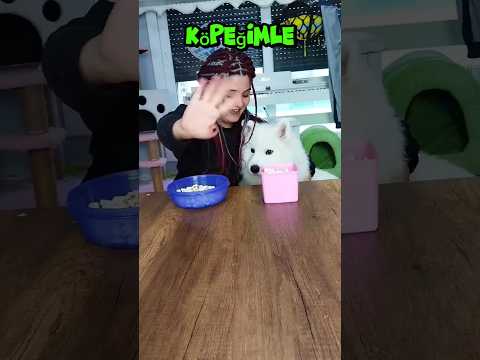 Arya’yla Popcorn Yarışı (Sonu Şok 😳) #TeamArya #HolidaysWithYouTube