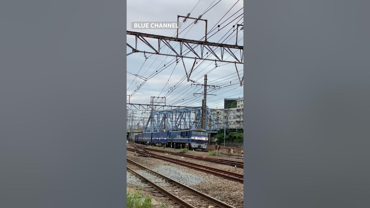 (貨物列車) 2024/05/22 2058レ EF210-116 + コキ20B カンガルーライナーSS60 (吹田タ〜陸前山王) #Shorts - YouTube