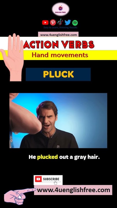 English Action verbs | Hand Movements 2 - YouTube