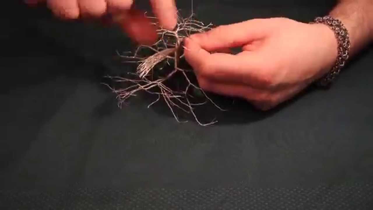 Making a Wire Bonsai -- Time-lapse - YouTube