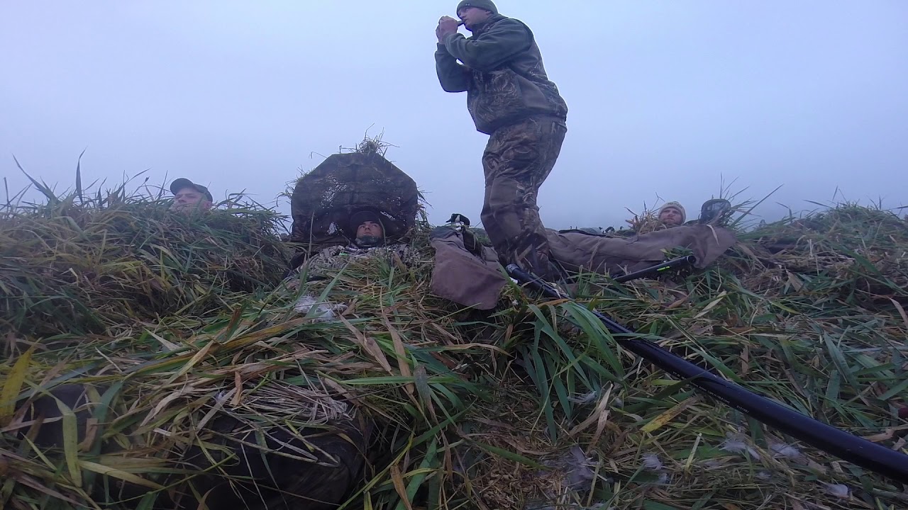 Heavy Fog Honker SMASH!! - YouTube