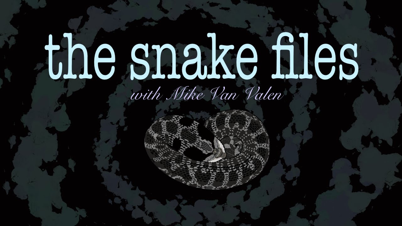 The Snake Files - Mexican snakes, Milks, and More - YouTube