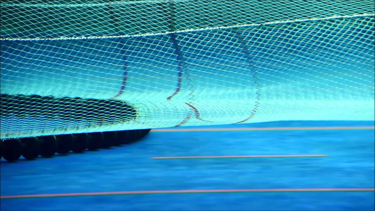 Streamline Bottom trawl - YouTube