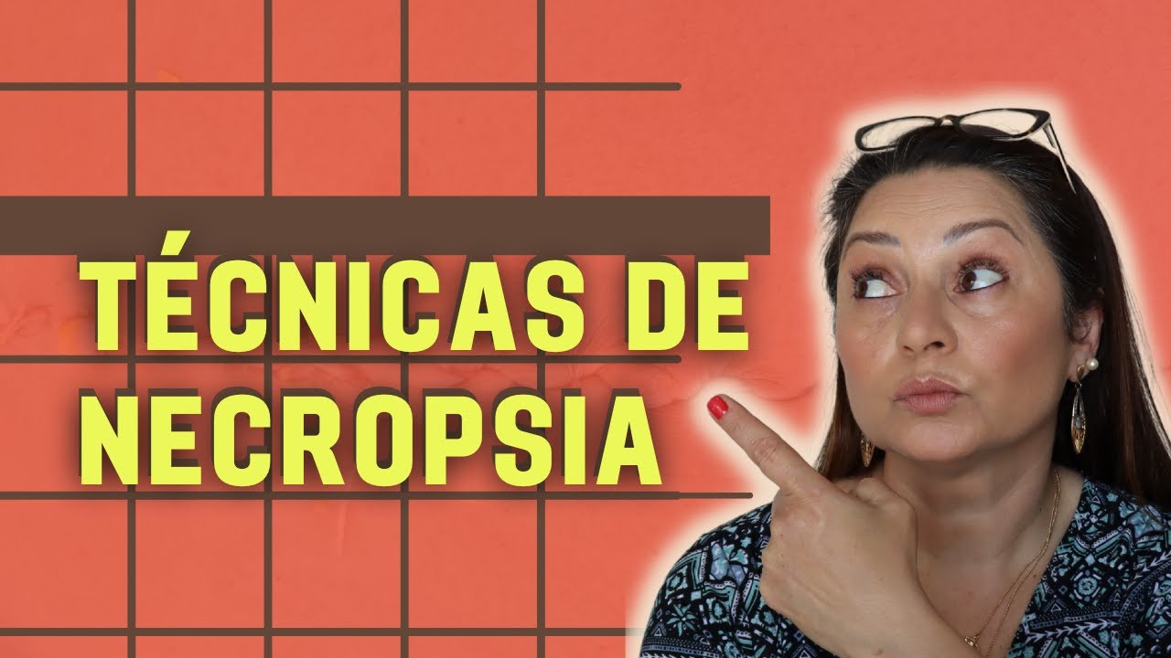 TÉCNICAS DE NECRÓPSIA - Você sabe quais são as 4 básicas de uma ...