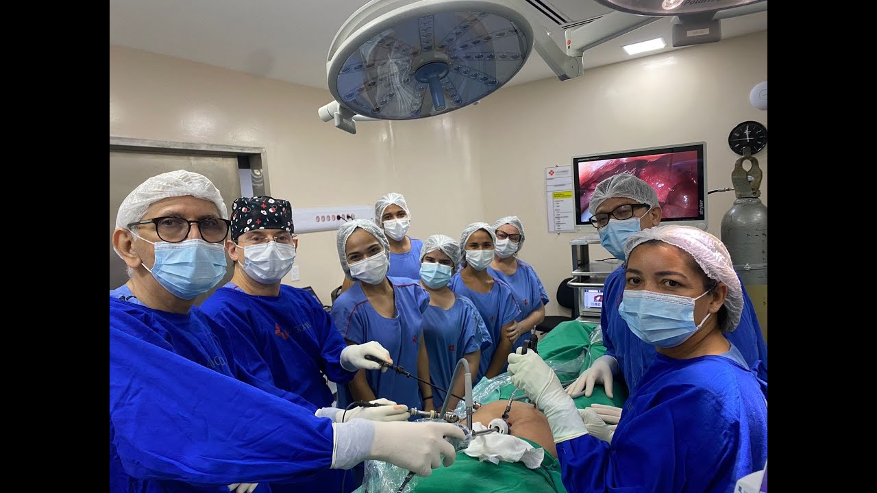 Salpingectomia e miomectomia laparoscópica/ Salpingectomy and ...