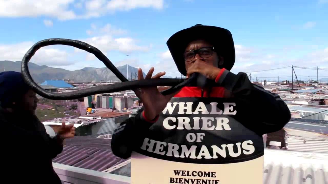 The Whale Crier - YouTube