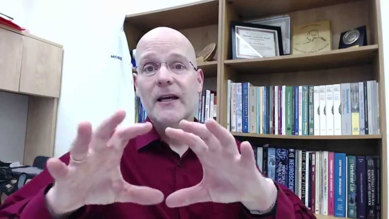 Module 8.4 – Analysis and Interpretation of Open Field Test Data - YouTube