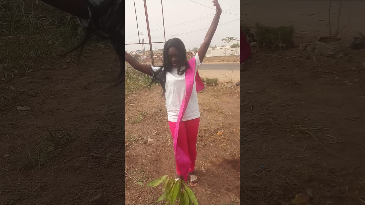 Nigeria's Tree Planting Mission - YouTube