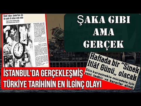 Türkiye Tarihinin En İlginç Olaylarından Biri Sinek Avı