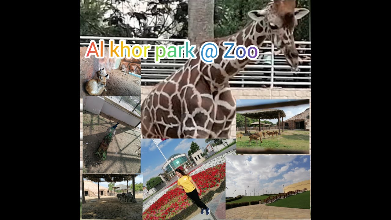 Al khor zoo park (first visit to the zoo only in qatar experience) # ...