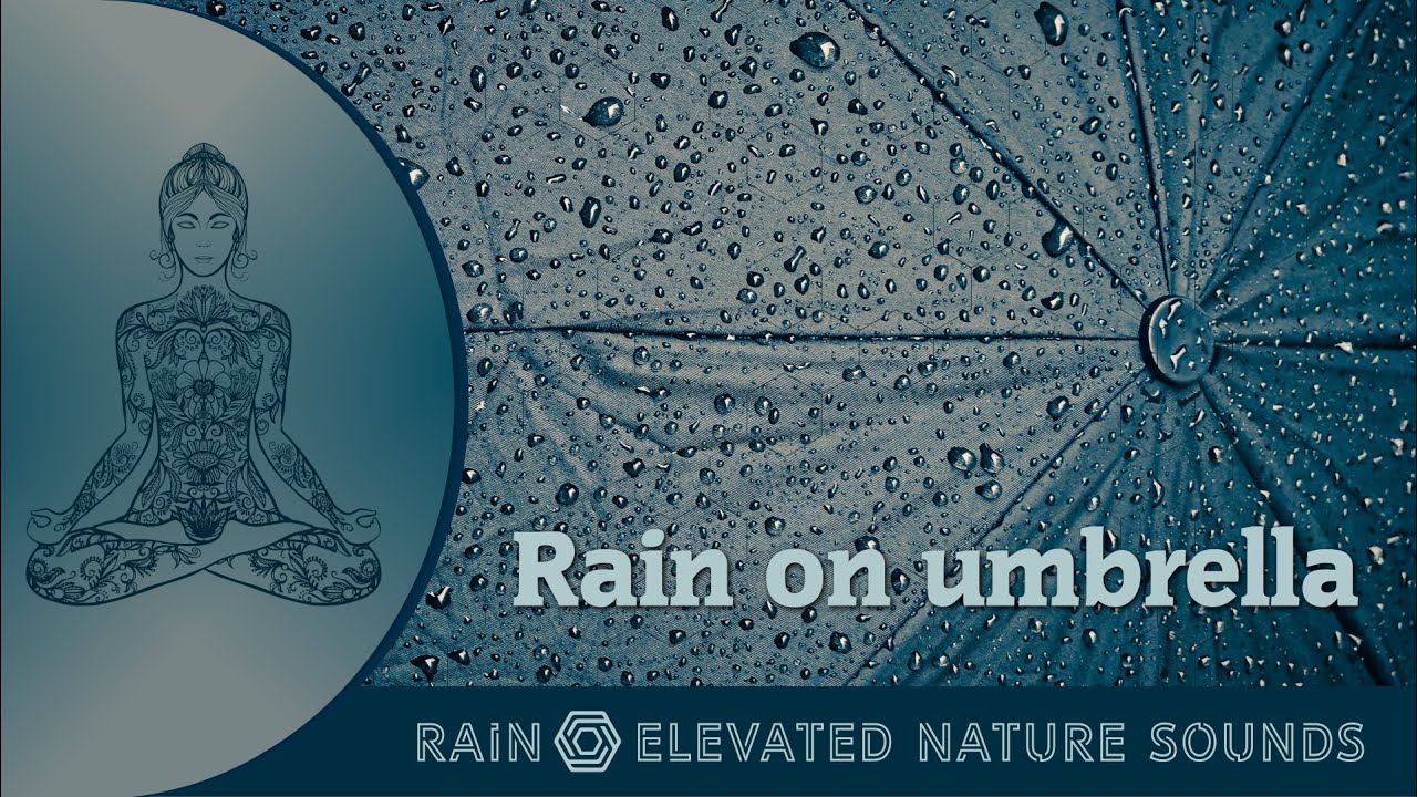 Soothing Rain Sounds on Umbrella for Relaxation Sleep Study Focus ...