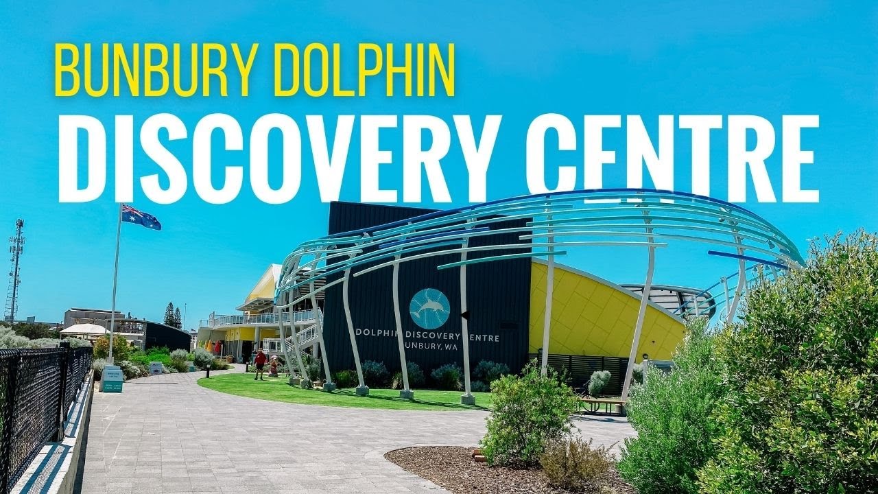 Dolphin Discovery Centre Bunbury | Western Australia Aquarium - YouTube
