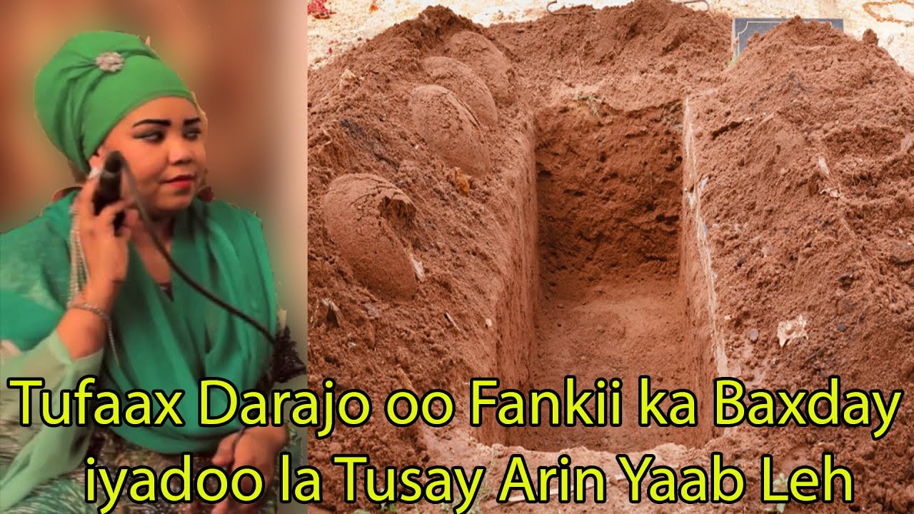 Fanaanad caanka ahayd dhulka Somalida ee Tufaax Darajo oo fankii iskaga ...