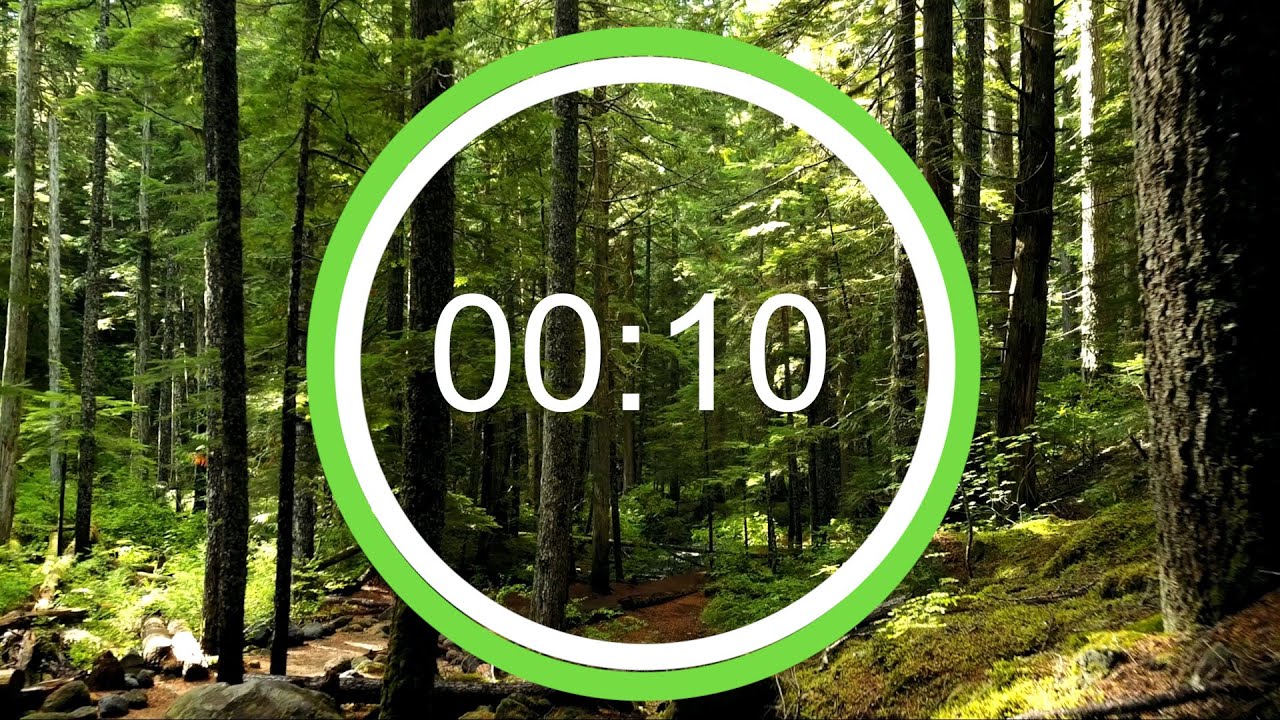 10 Second Forest Background Timer/Countdown - YouTube