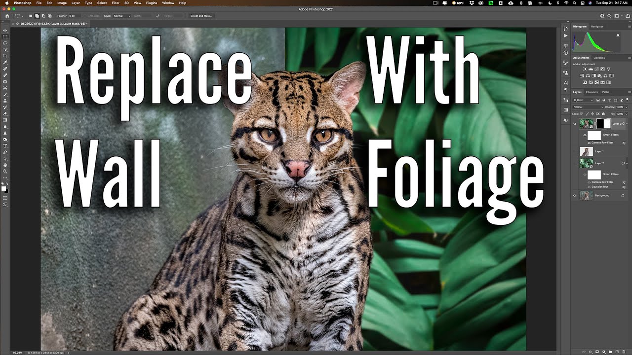 Easy Background SWAP - YouTube