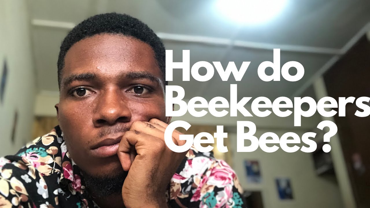 How do Beekeepers Get Bees? | Bee Colonization - YouTube