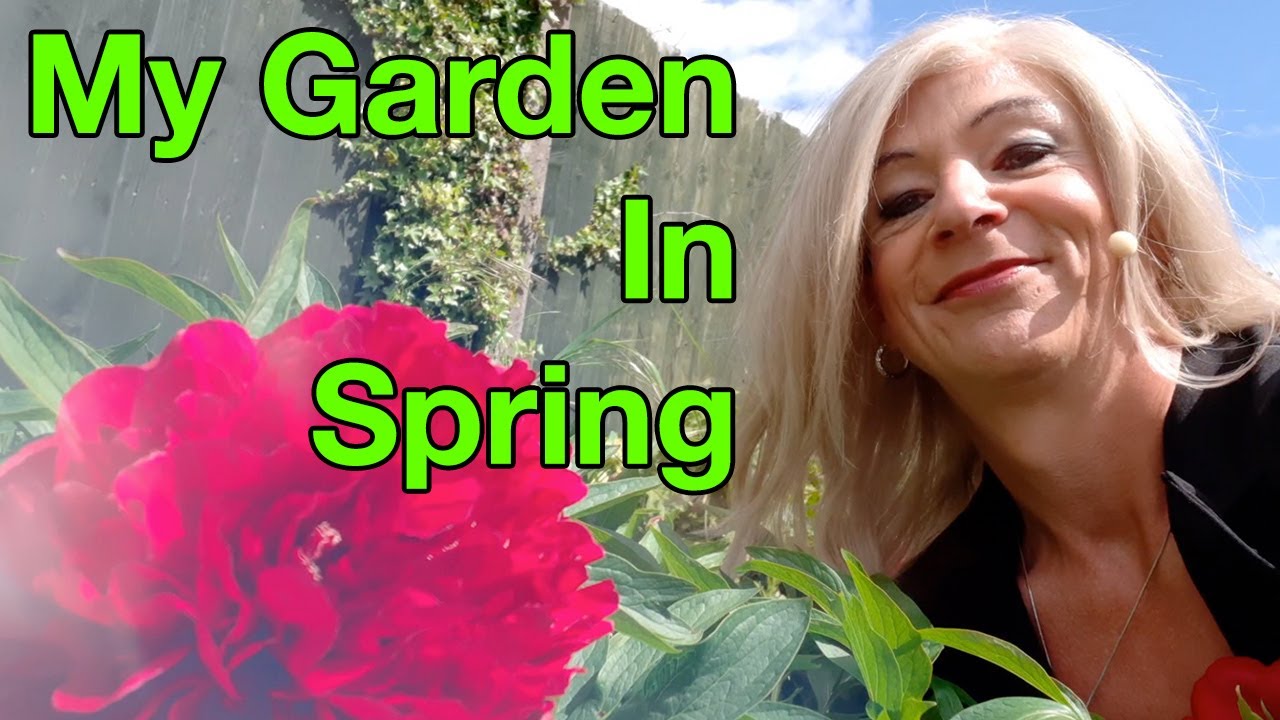 My Garden In Spring - YouTube