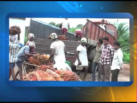 ETV2 Showreel