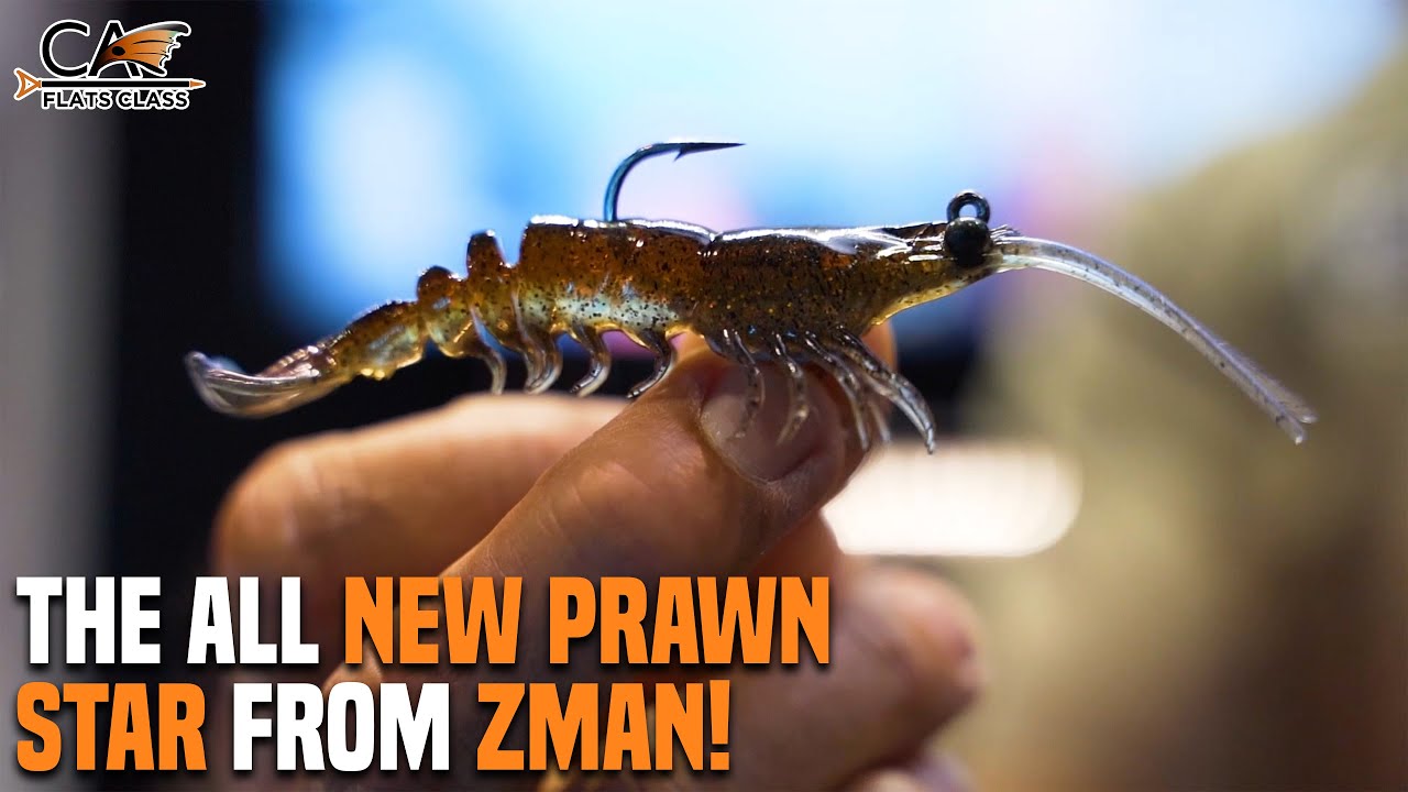 The All New Prawn Star From Zman! | Flats Class YouTube - YouTube