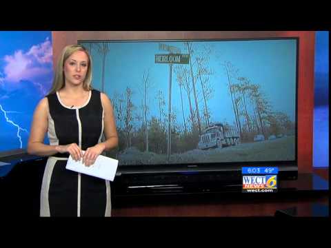 Kaitlin Stansell reporter reel 2015 - YouTube