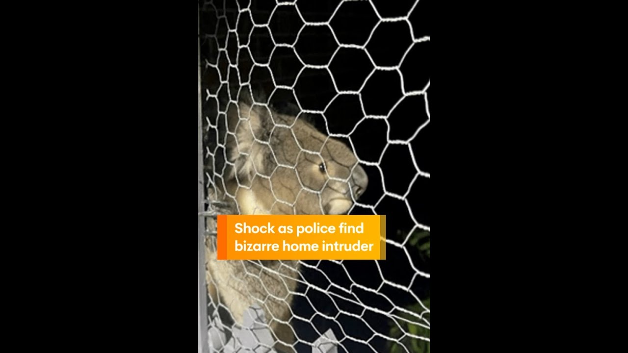 Shock as Police Find Bizarre Home Intruder - YouTube