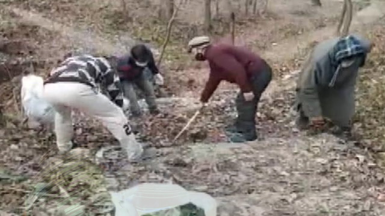 Anantnag Sarpanch Offers Gold To Whoever Collects 2,000 Kg Of Polythene ...