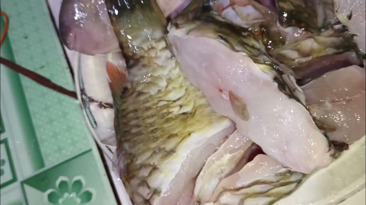 Subukan niyo itong isda na to malaman at masarap 🐟 - YouTube