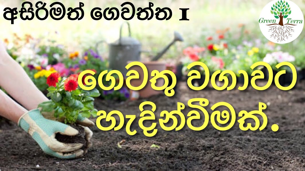 Gewathu Wagawa | ගෙවතු වගාව | Part 1| හැදින්වීම - YouTube