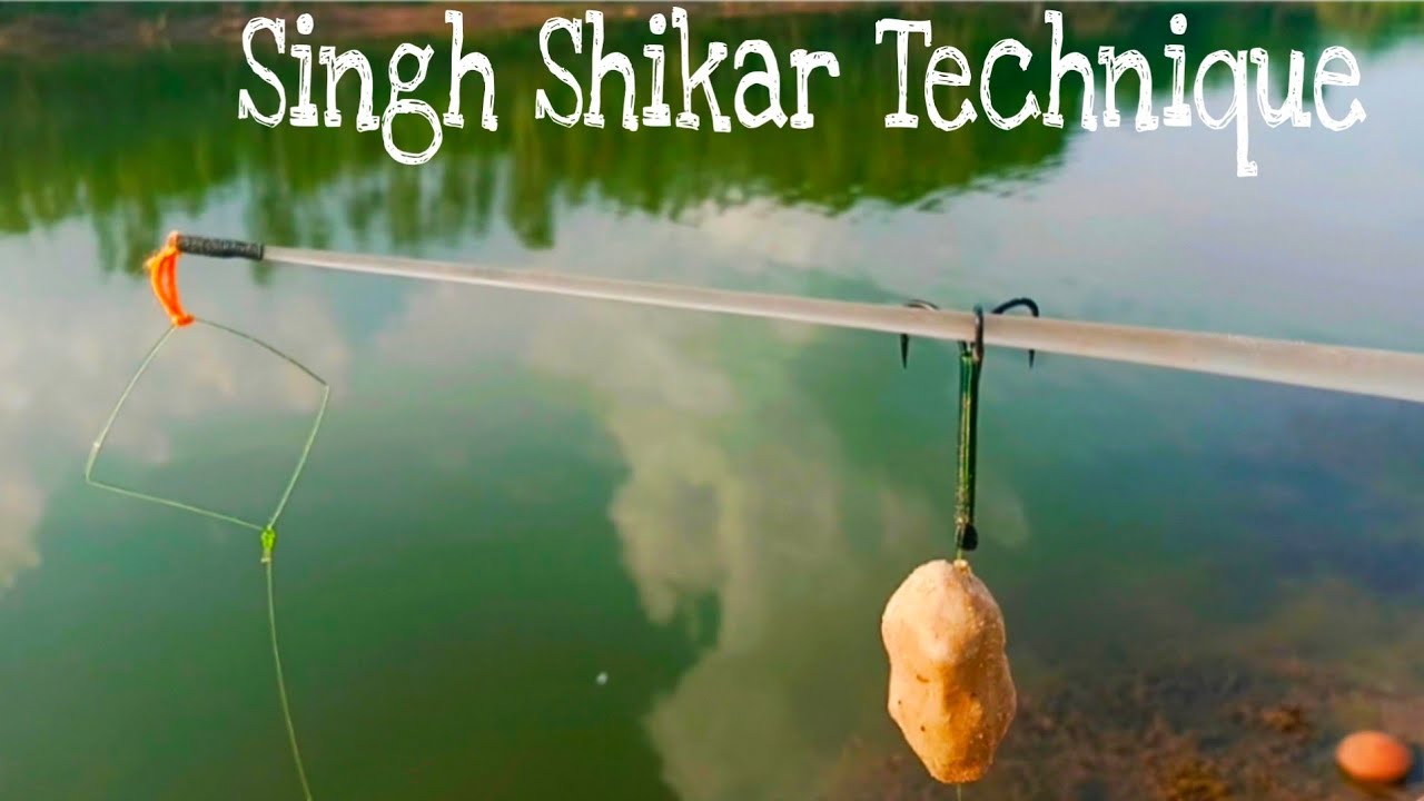 Best Fishing Singh Shikar Technique Carp Fish Catching Mergale Fishing ...