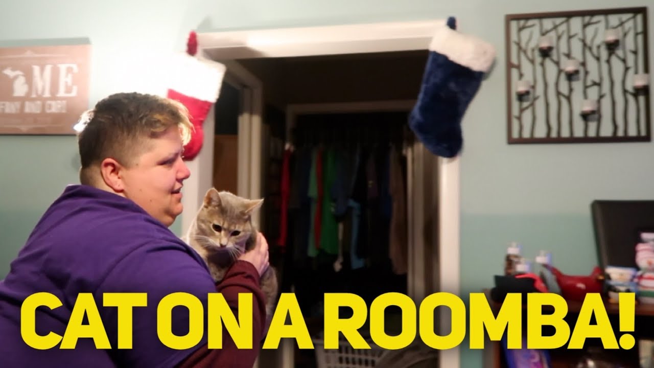 CAT ON A ROOMBA! FAIL! - YouTube