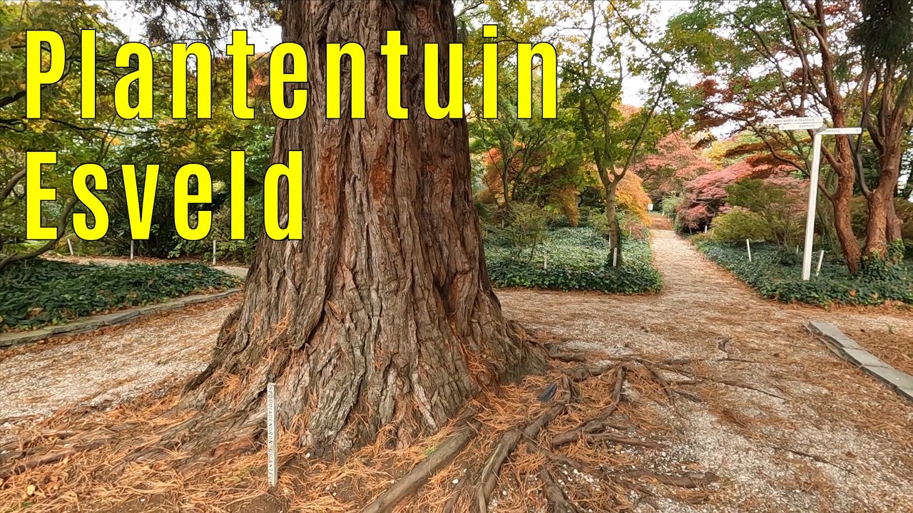 Plantentuin Esveld - YouTube