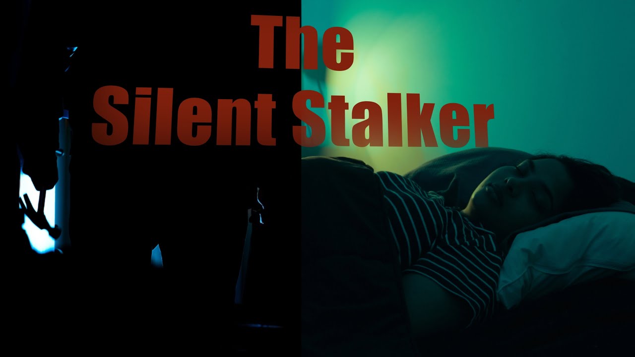 THE SILENT STALKER - " WHO'S WATCHING YOU IN THE DARK". - YouTube