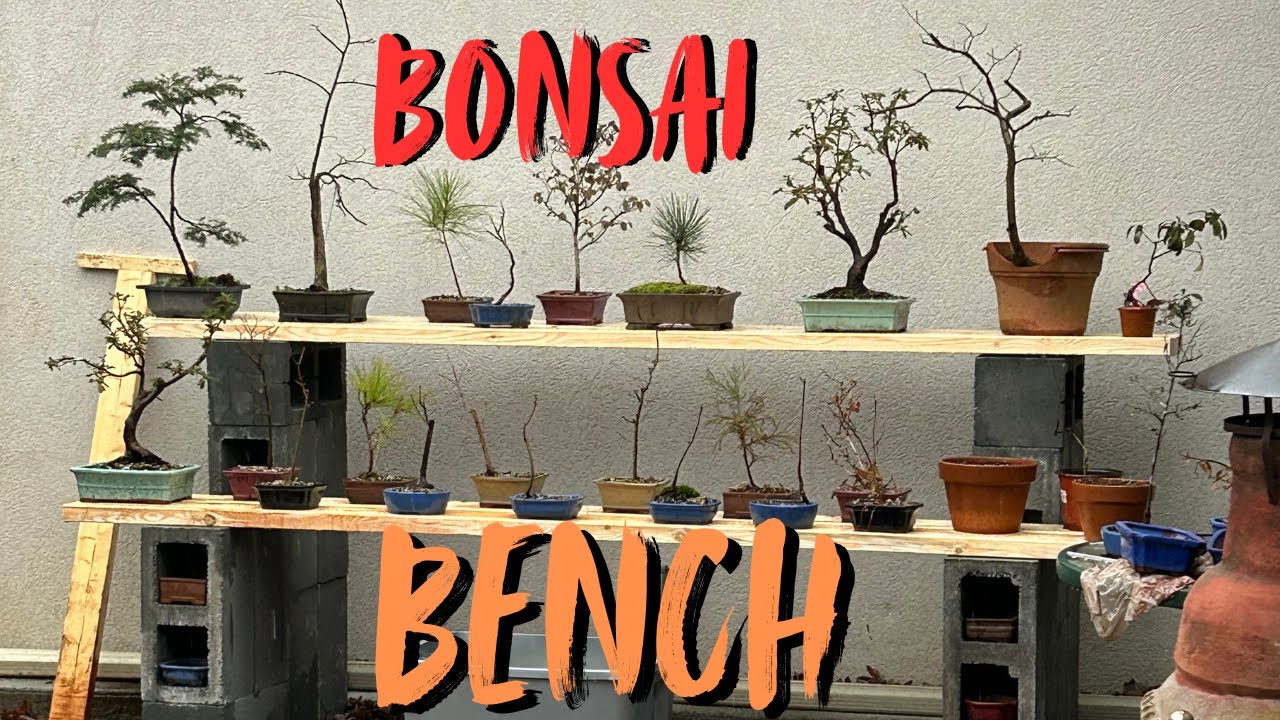 How to build a professional bonsai bench - YouTube