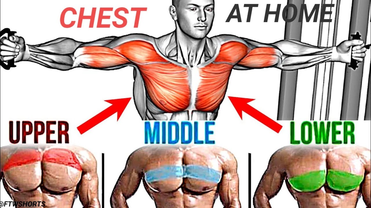 BASIC TO HARD PUSH UPS | TOTAL PUSH UPS | PUSH UPS | | NEW😀 WORKOUT #pushups #fitness ...