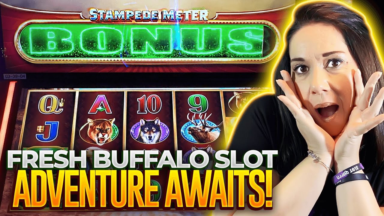 🦬 A NEW BUFFALO SLOT ⁉️ THE BEST ONE YET⁉️ - YouTube