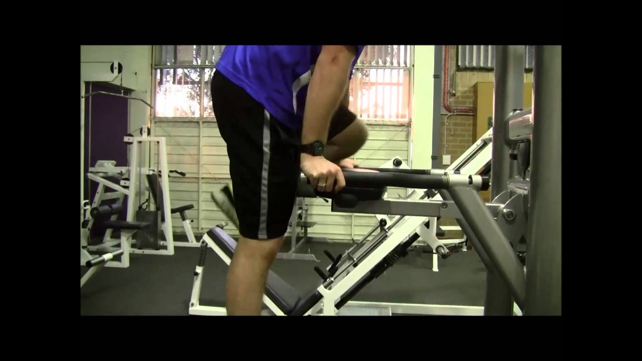 Assisted Dip Youtube