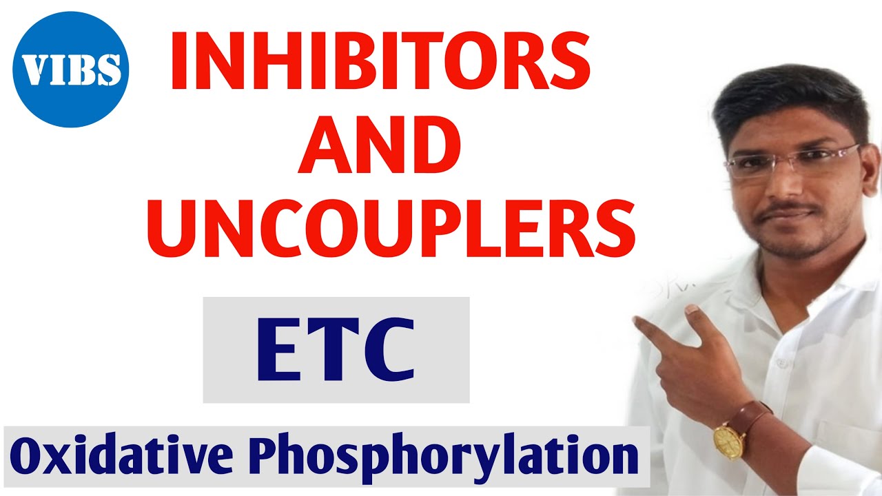 Inhibitors and Uncouplers of ETC| Oxidative Phosphorylation - YouTube