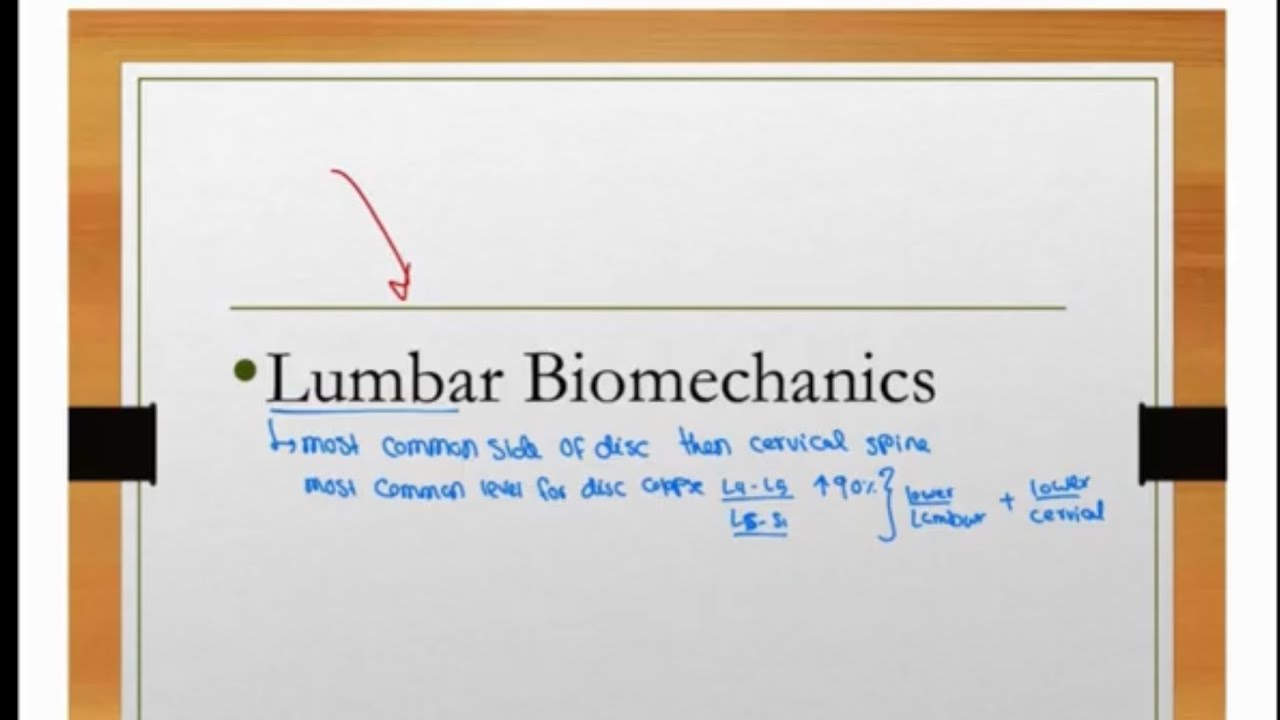 Lumber biomechanics Lecture (Part 1) - YouTube