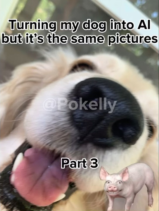 Turning my dog into AI but it’s the same pictures (Part 3) #ai #aidog # ...