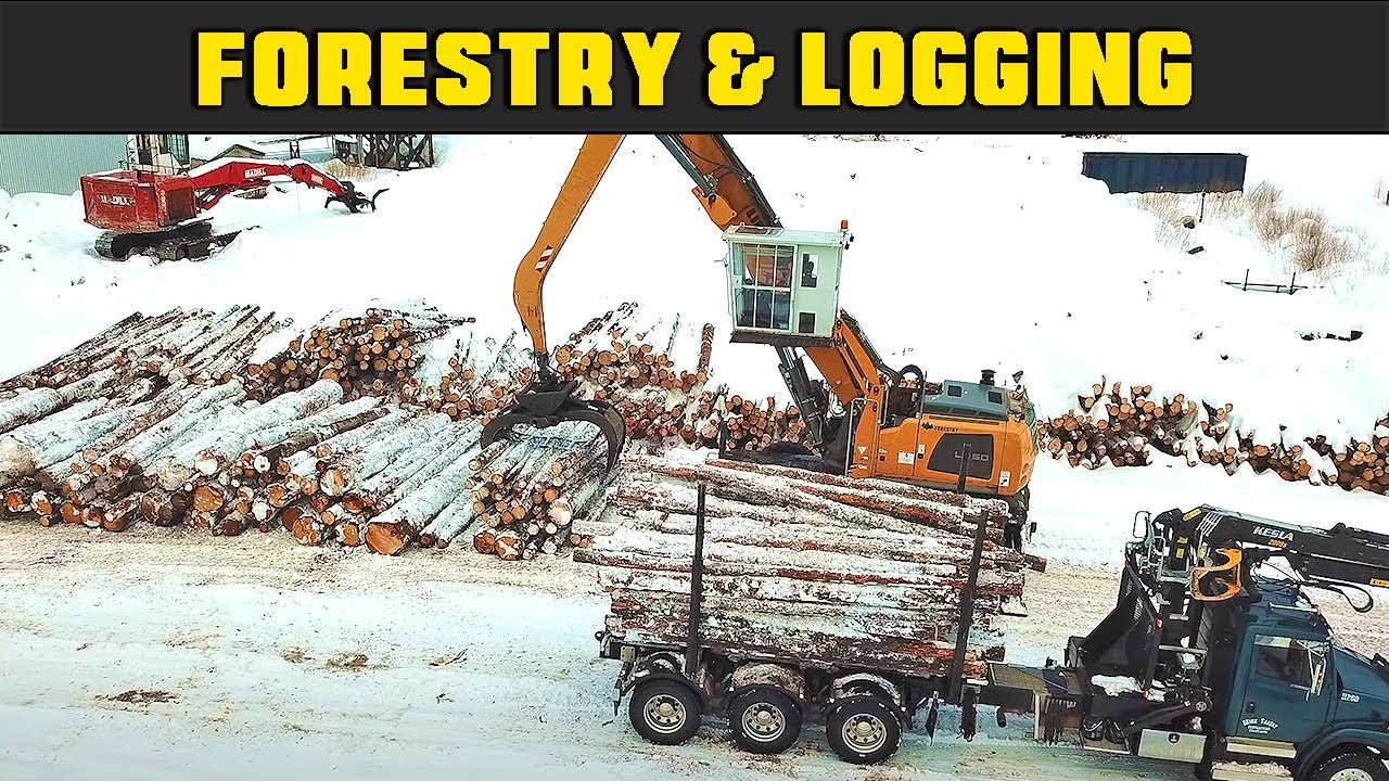Liebherr LH-50 Unloading Trucks - Real Life Forestry & Logging - FDR ...