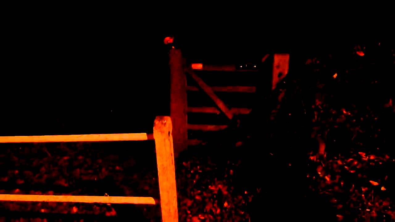 The Pointless Gate - YouTube