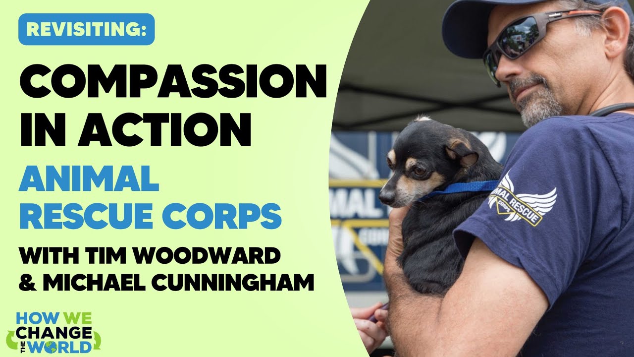 Compassion in Action: Animal Rescue Corps with Tim Woodward & Michael ...