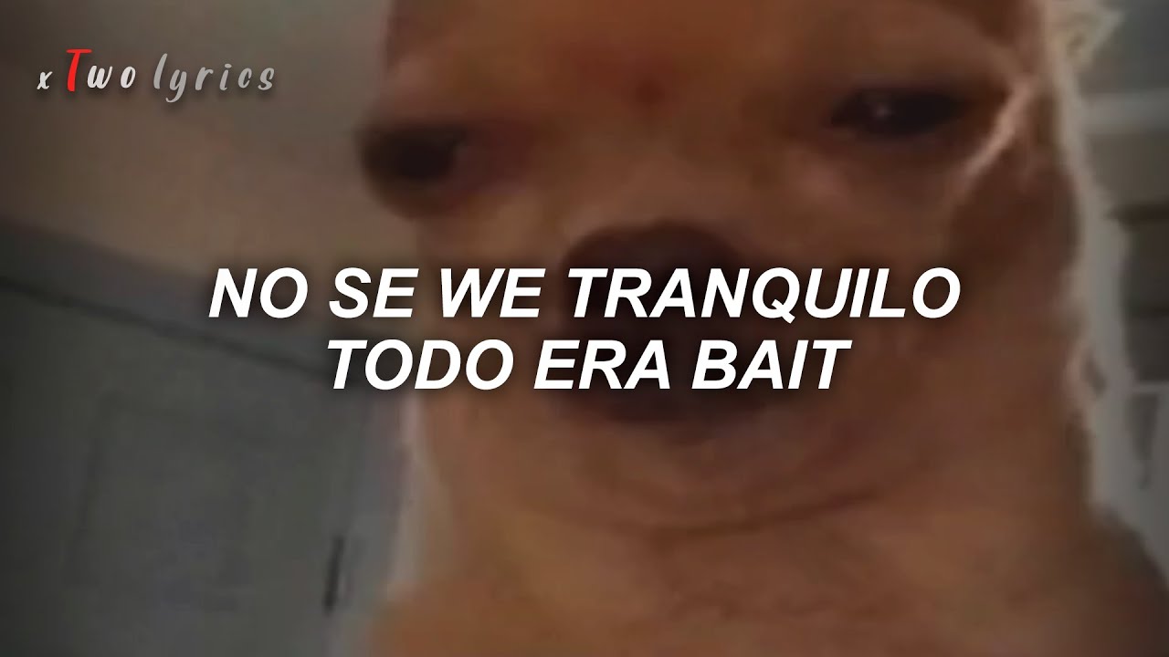 NO SE WEY, TRANQUILO TODO ERA BAIT // LETRA - YouTube
